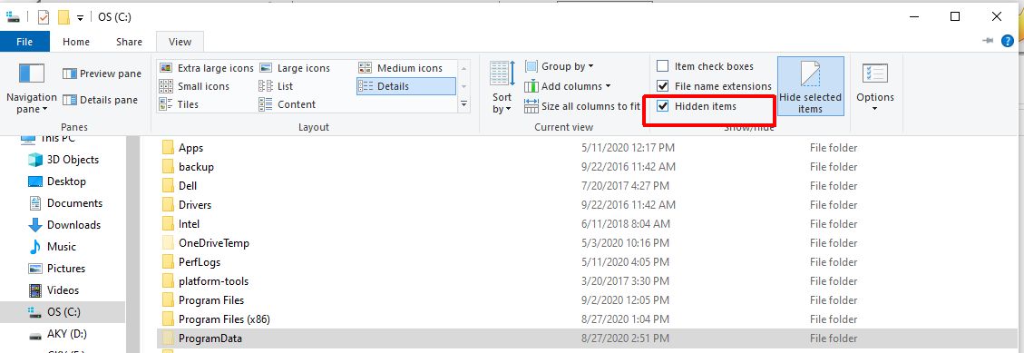 How to show hidden folders in Windows 10
